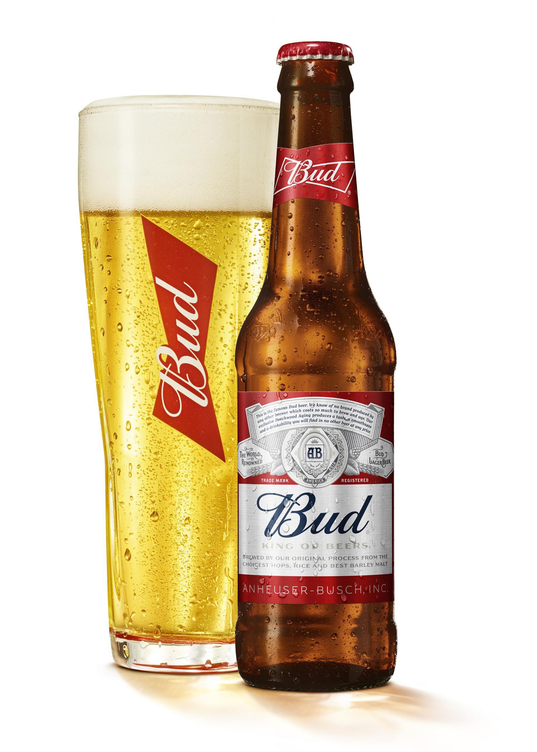 Bud Speedcourse van Bierista - FSOM is het online entertainment ...
